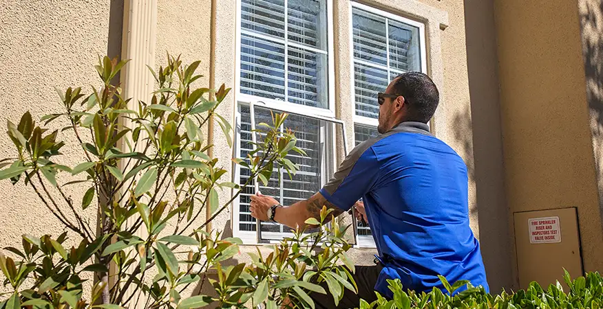 Holiday-Ready Home: Why Gutter & Window Cleaning Should Be Your Top ...